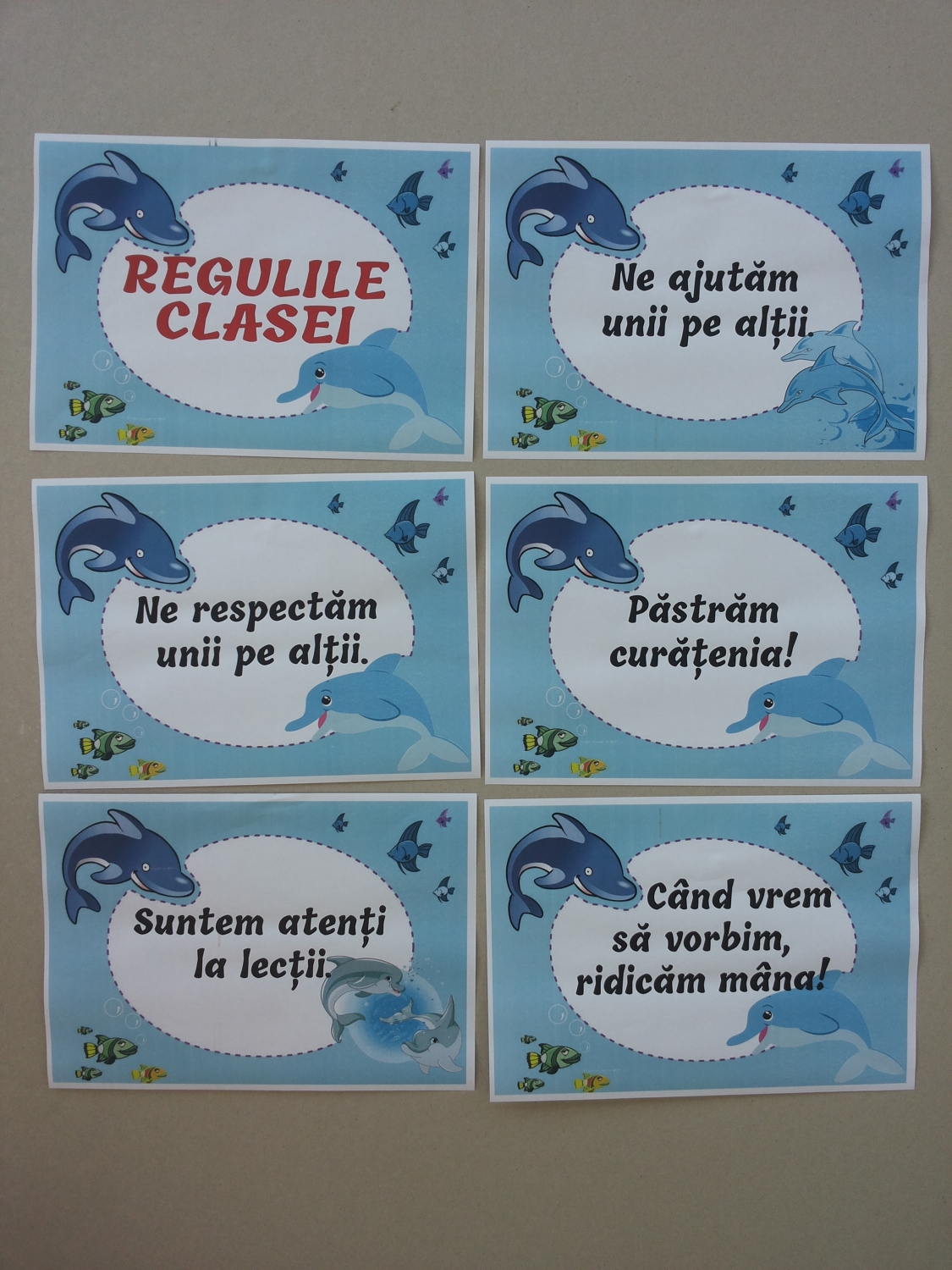 Planse Regulile clasei delfinilor – Samuel Creativ