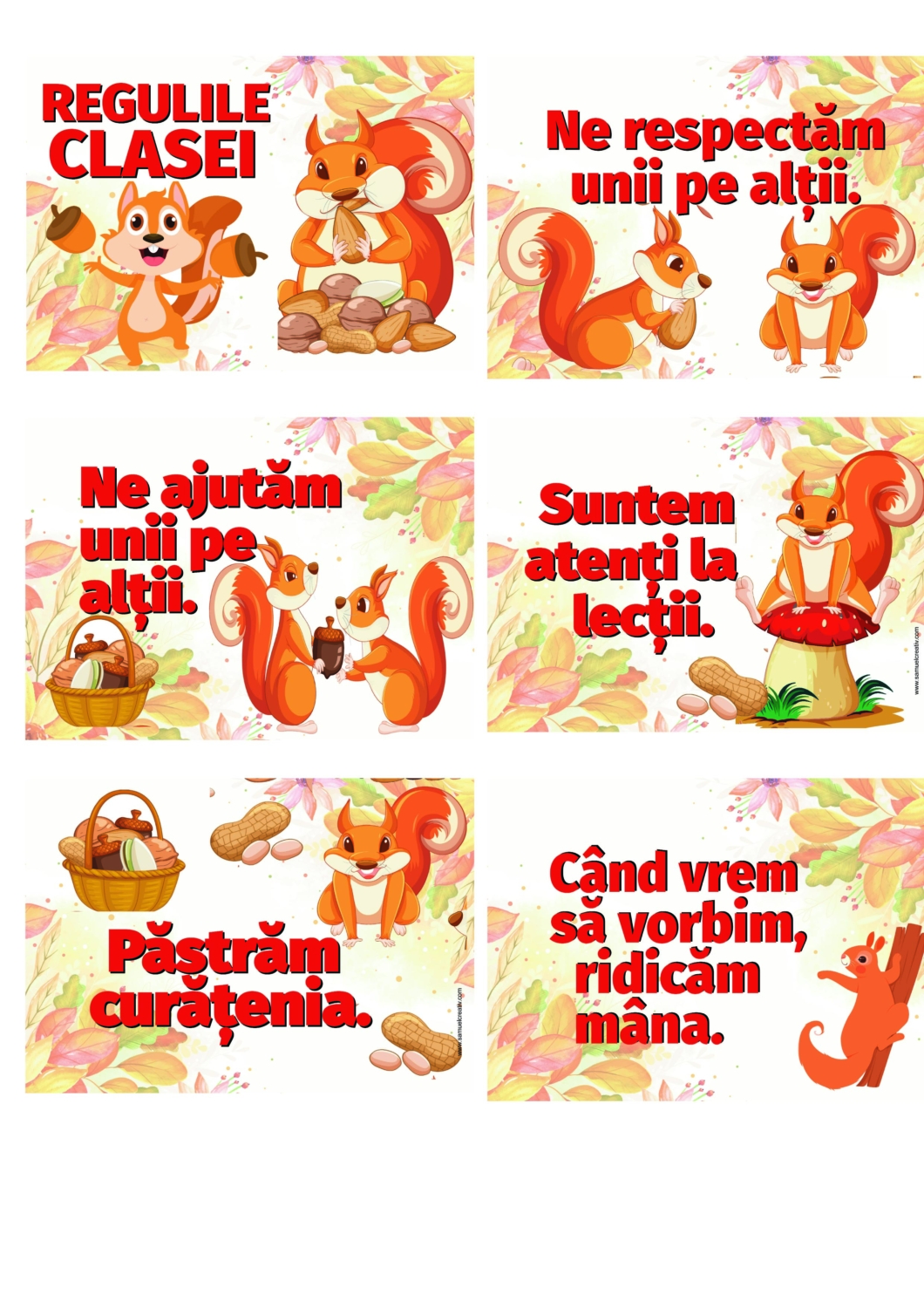 Regulile clasei VEVERITE – Samuel Creativ